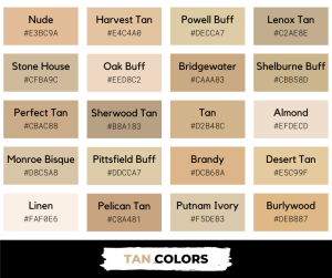 Tan Color: Meaning, Shades, and Color Codes