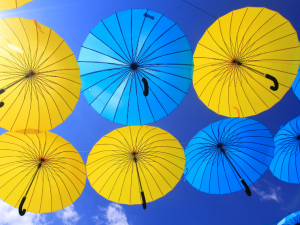 What is the Opposite of Blue? (Its Complementary Color)