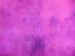 Fuchsia Color: Is It Pink or Purple and What Does It Mean?