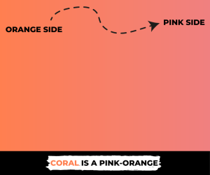 60+ Shades of Coral Color with Names, Hex, RGB, & CMYK