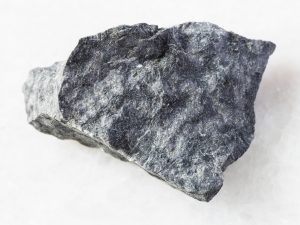 Gray Things: 32 Things That Are Gray in Nature