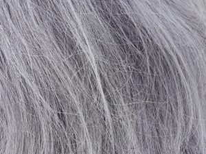 Gray Things: 32 Things That Are Gray in Nature