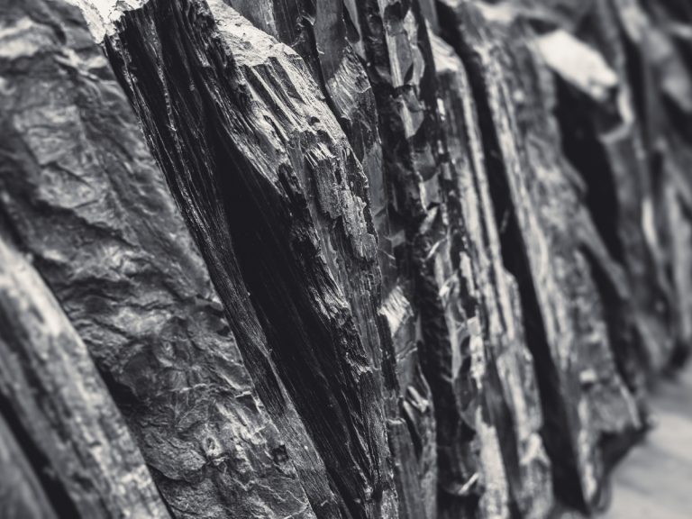 Gray Things: 32 Things That Are Gray in Nature