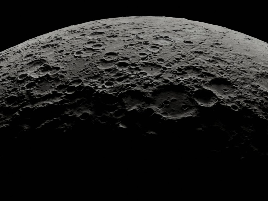 Gray Things: 32 Things That Are Gray in Nature