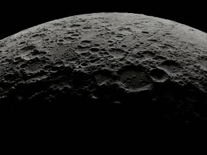 Gray Things: 32 Things That Are Gray in Nature