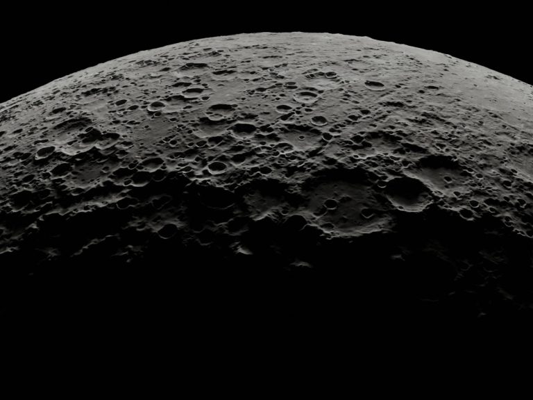 Gray Things: 32 Things That Are Gray in Nature