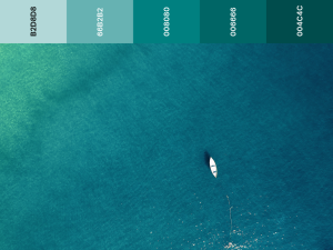 65 Colors That Go With Teal (Color Palettes)