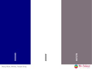 25 Colors That Go With Navy Blue (Color Palettes)