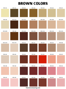 Pantone Color Chart: 900 Pantone Colors And Their Codes