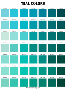 Pantone Color Chart: 900 Pantone Colors And Their Codes