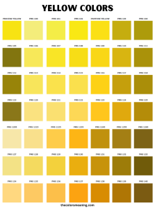 Pantone Color Chart: 900 Pantone Colors And Their Codes