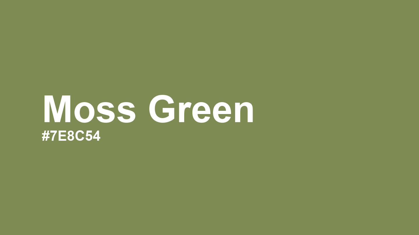 Moss Green Color: Hex Code, Palettes and Meaning